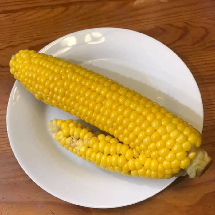 Umm ... Corn Hub - 9GAG