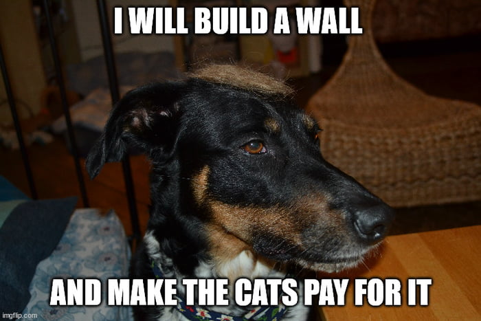 Make What I just Puked On The Carpet Great Again - 9GAG