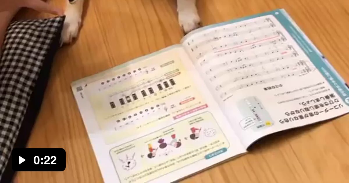 Most viral Singing Dog - 9GAG