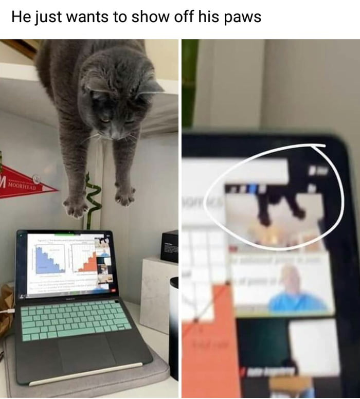 See the toe beans - 9GAG