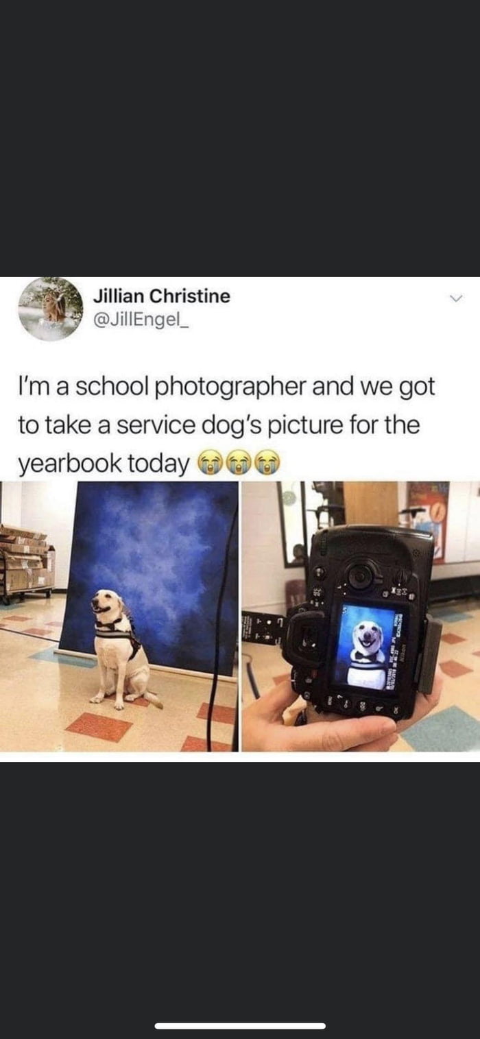 Smiley doggo - 9GAG