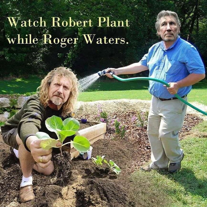 Watch Robert Plant while Roger Waters - 9GAG
