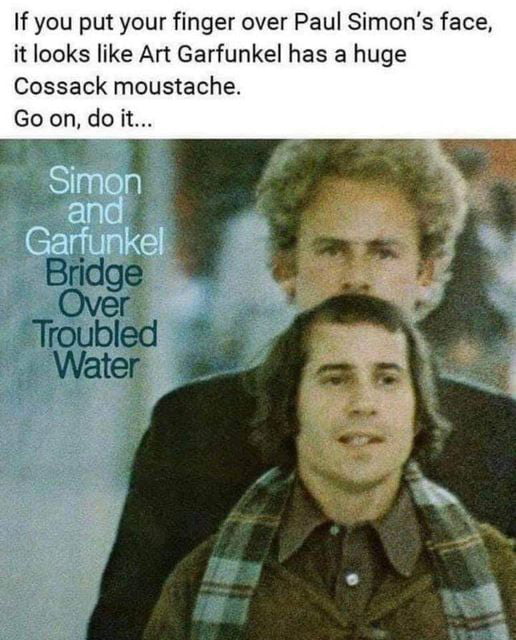 Beard Garfunkel - 9GAG