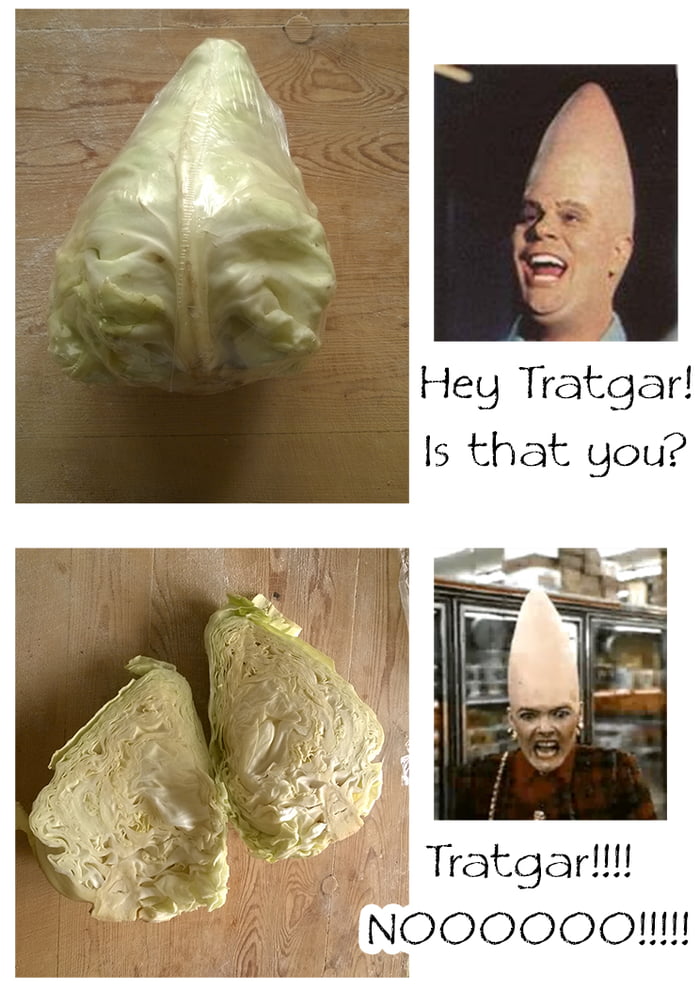 Got a Conehead Cabbage as a gift :) I couldn't resist the temptation of ...