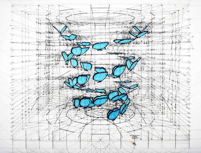 Architect's hand-drawing of a butterfly's flight pattern based on the ...