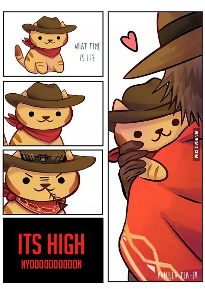 Cats and overwatch. what else does a meme need? - 9GAG