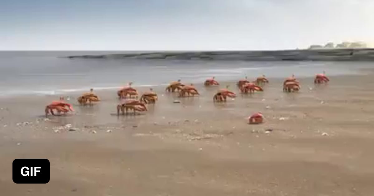 Unity is STRENGTH 💪👊 - 9GAG