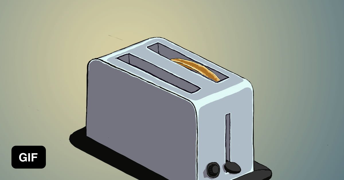 Toast in a toaster - 9GAG