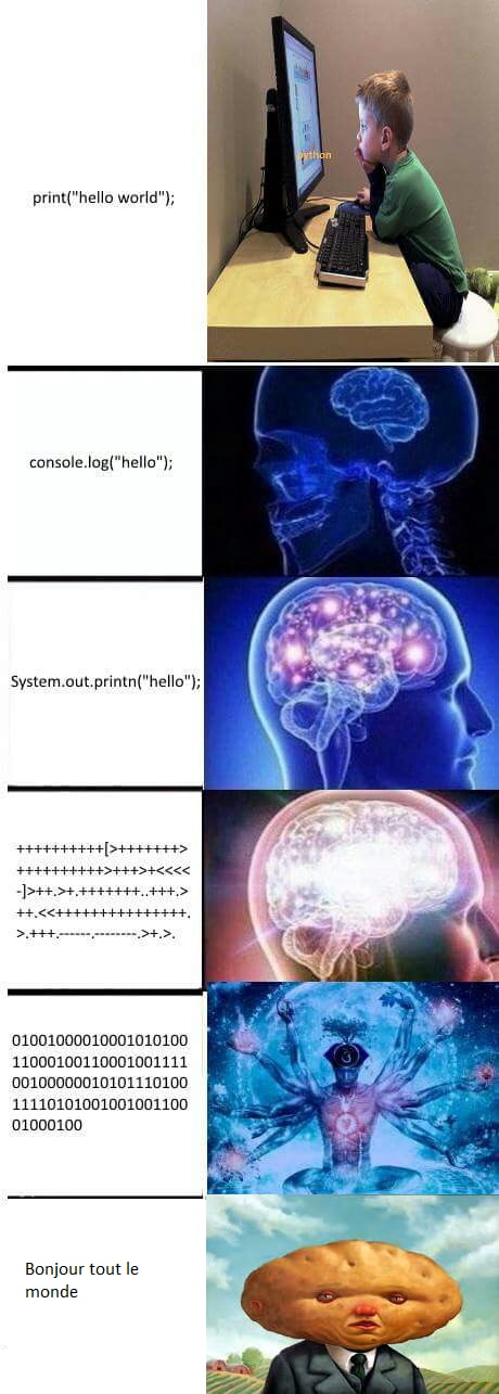 Programming languages be like - 9GAG