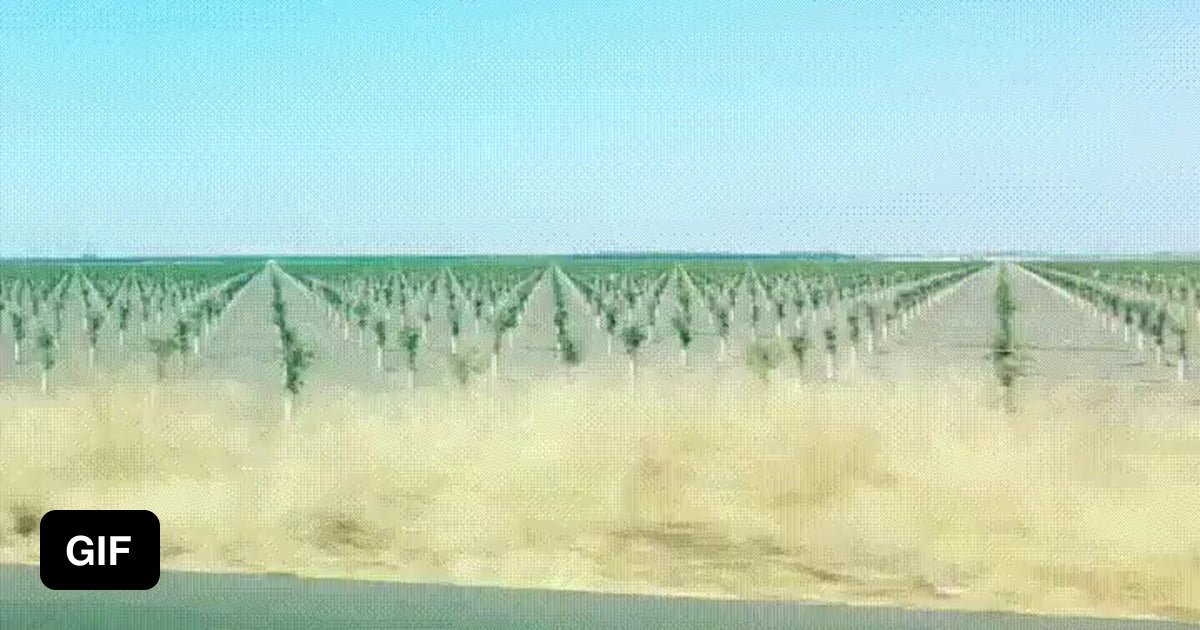 Hypnotic view - 9GAG