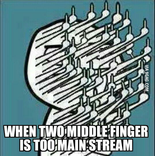 If I have so many middle fingers, I would point all at you.. - 9GAG