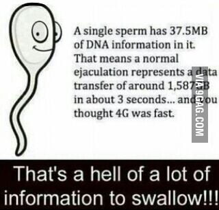 Praise the power of sperm! - 9GAG