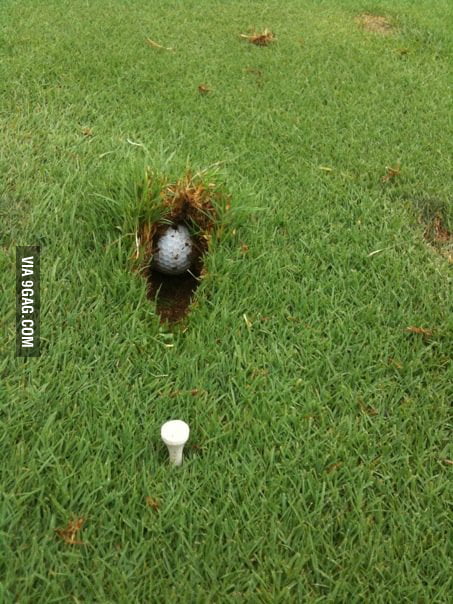 Why I'm not a professional golfer is beyond me. - 9GAG