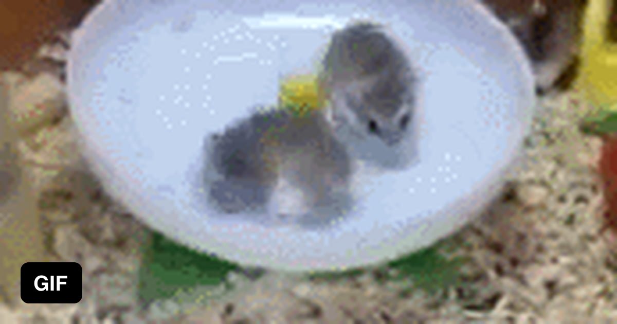 Faster! Too fast! - 9GAG