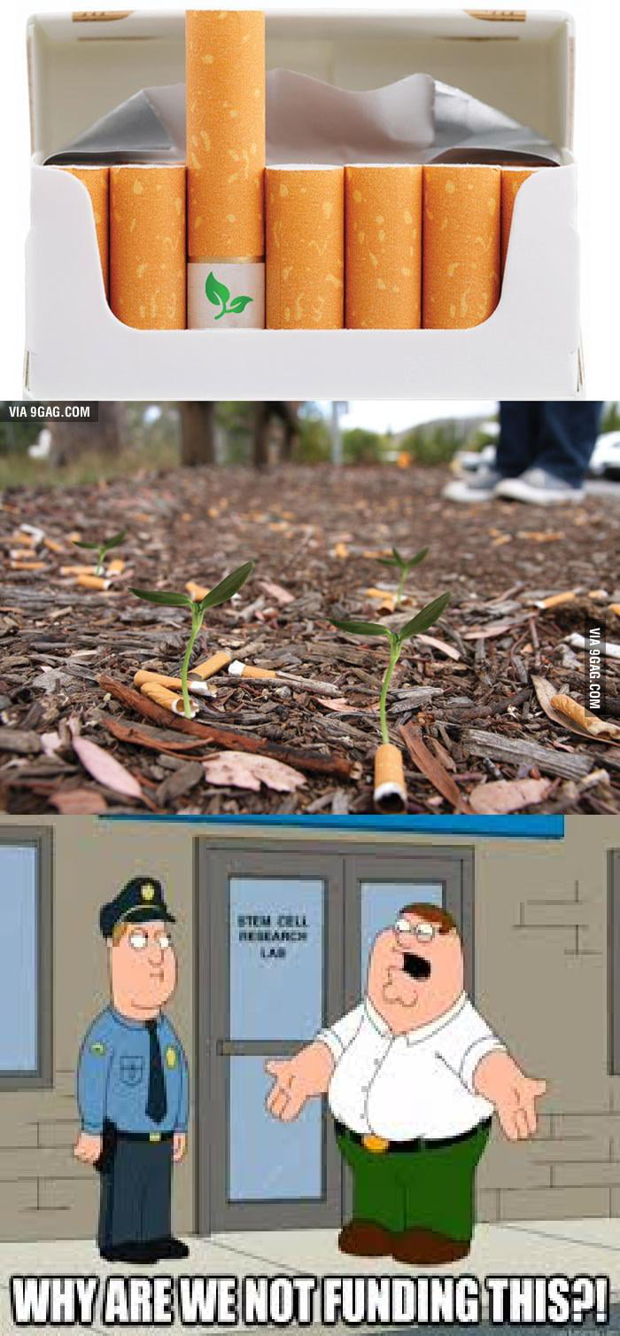 Ben Norman (Scientist) Creates Biodegradable Cigarettes - 9GAG