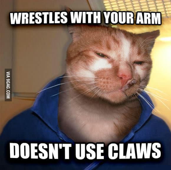 Cool Cat Craig - 9GAG
