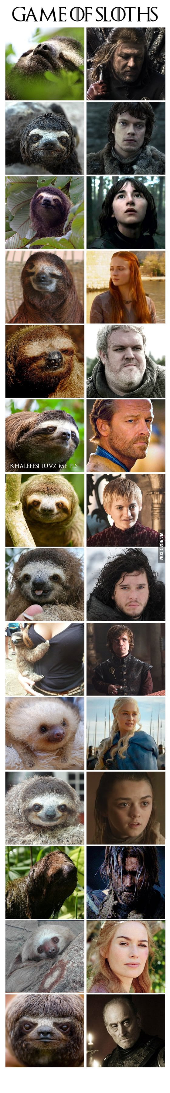 Game of Sloths - 9GAG