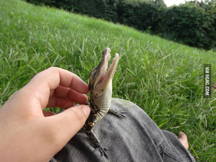 Oh yeah! Right there! - 9GAG