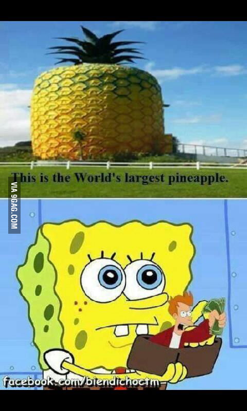 Oh Spongebob.. - 9GAG