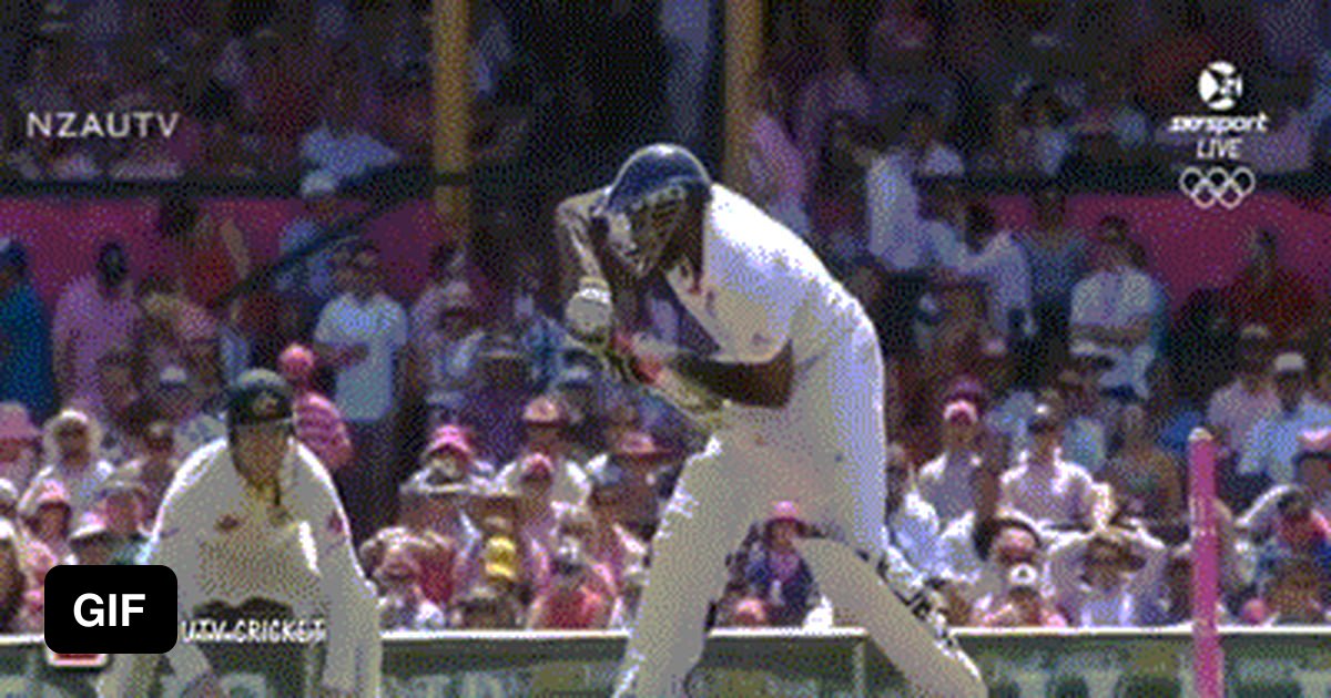 Cricket player's bat breaking in half - 9GAG