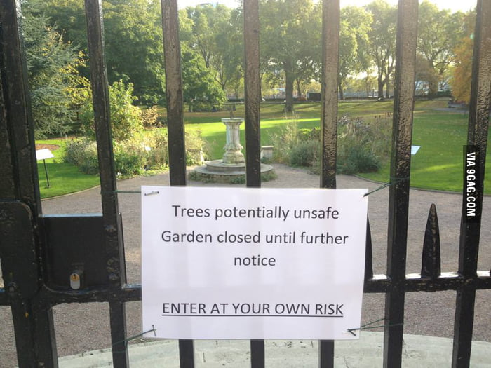 Beware of trees! - 9GAG
