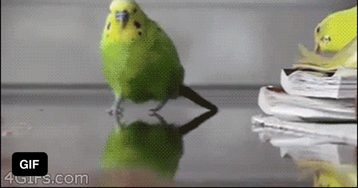 My reaction after my first cup of coffee hits me, and I need to shit ...