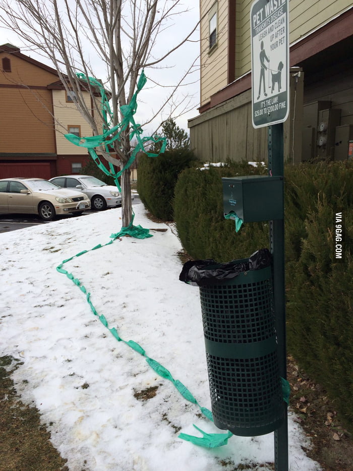 Colorado winds decorated a tree... With doggie poo bags. - 9GAG