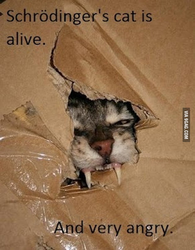 Very, very angry... - 9GAG