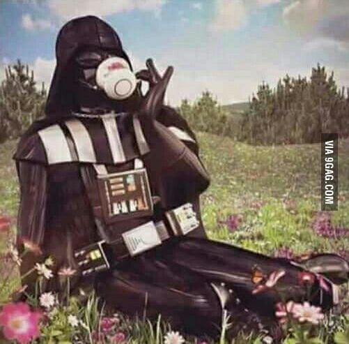 This is me, mean but delicate! - 9GAG