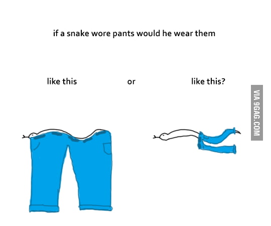 How would a snake wear pants? - 9GAG