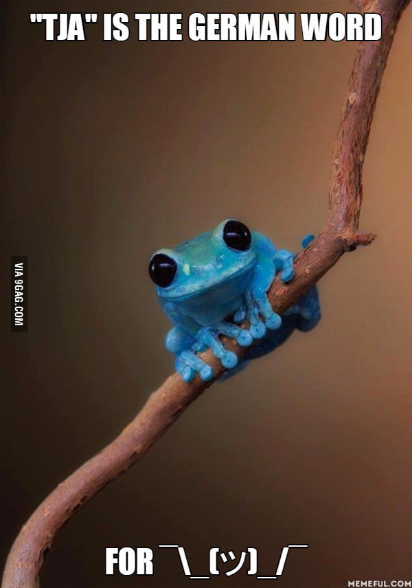 Tja. ¯\_(ツ)_/¯ - 9GAG