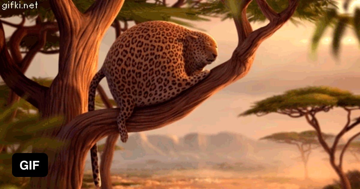 Just a fat Jaguar falling off a Tree - 9GAG