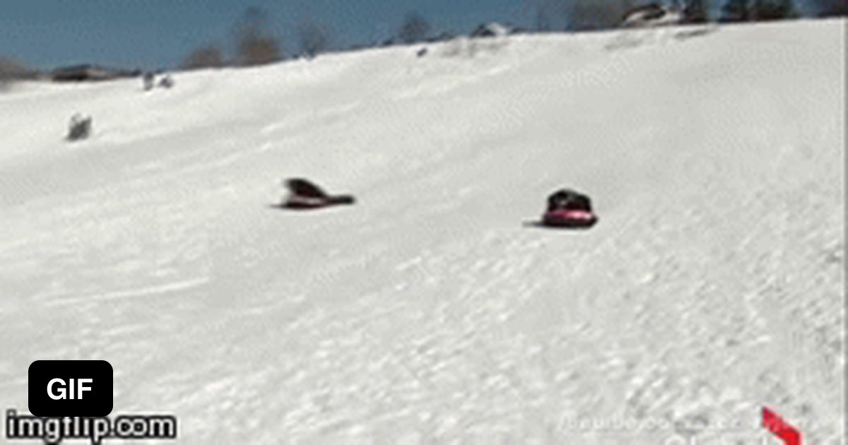 My favourite wasted gif - 9GAG