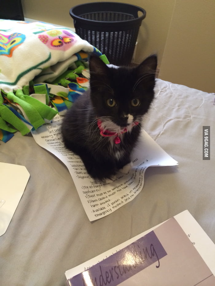 This is what happens when I try to study - 9GAG