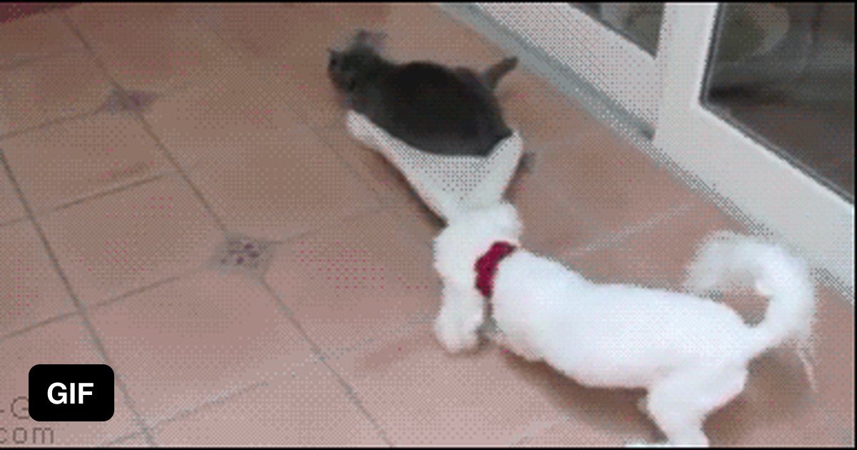 It's mine! All mine! Get out of there! - 9GAG
