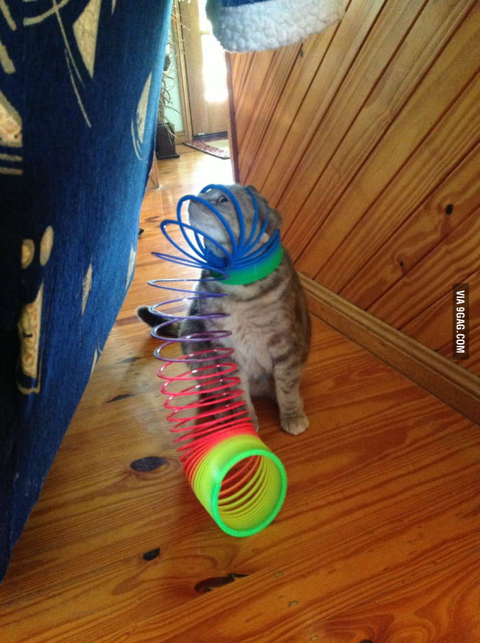 Human I require your assistance - 9GAG