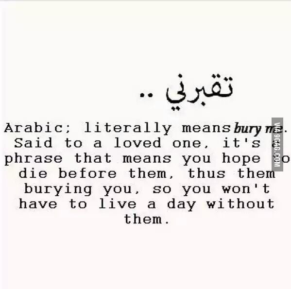 Arabic language is beautiful, fyi this is from Arab slang - 9GAG