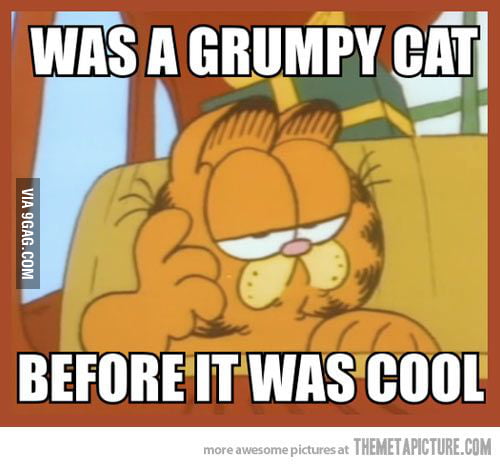 Garfield was the original grumpy cat - 9GAG