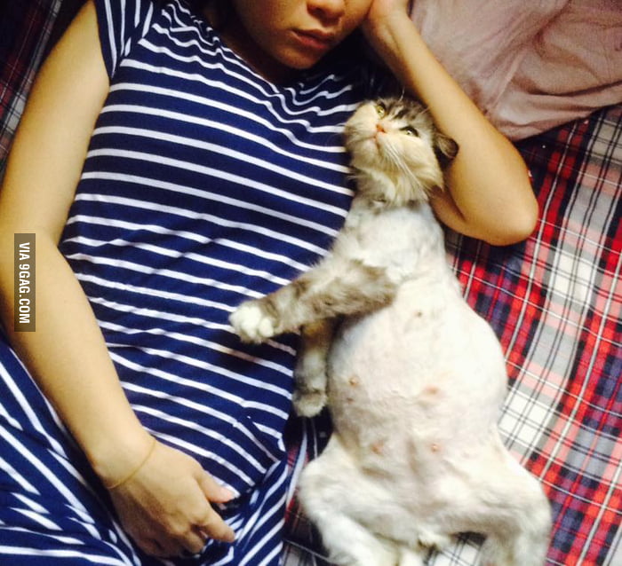 She has one, her cat has 5 - 9GAG