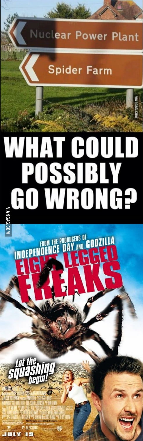 In response to a spider farm being near a nuclear power plant - 9GAG