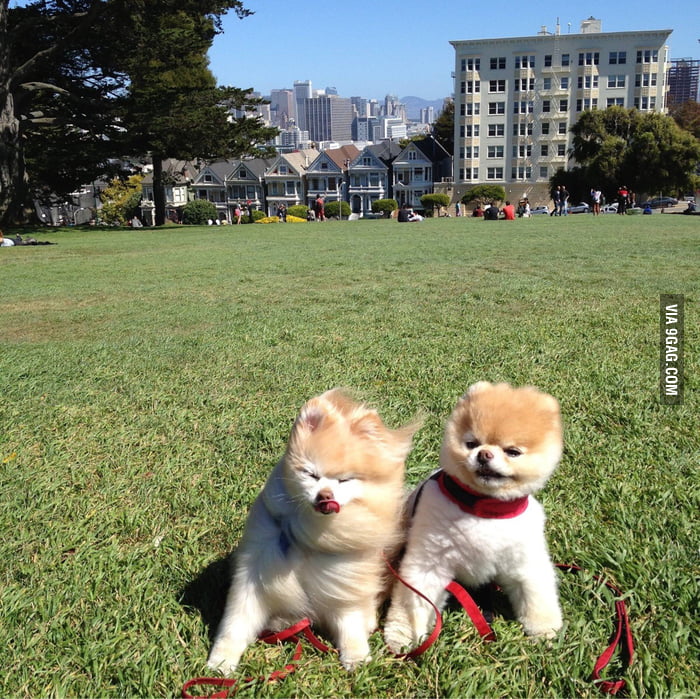 It's a bit windy - 9GAG