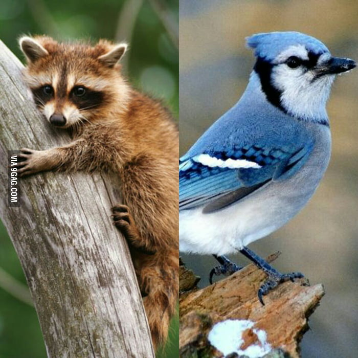 Can you recognize them? - 9GAG