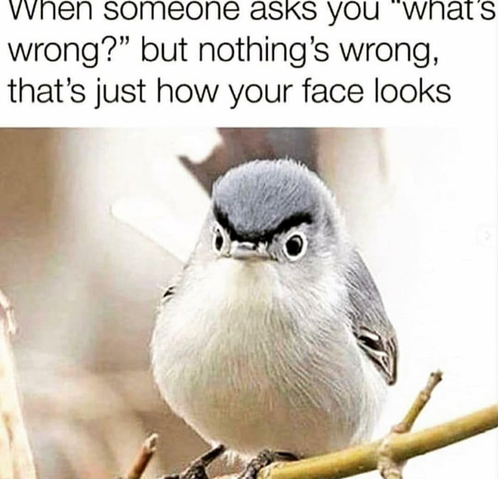 Shut up Susan - 9GAG