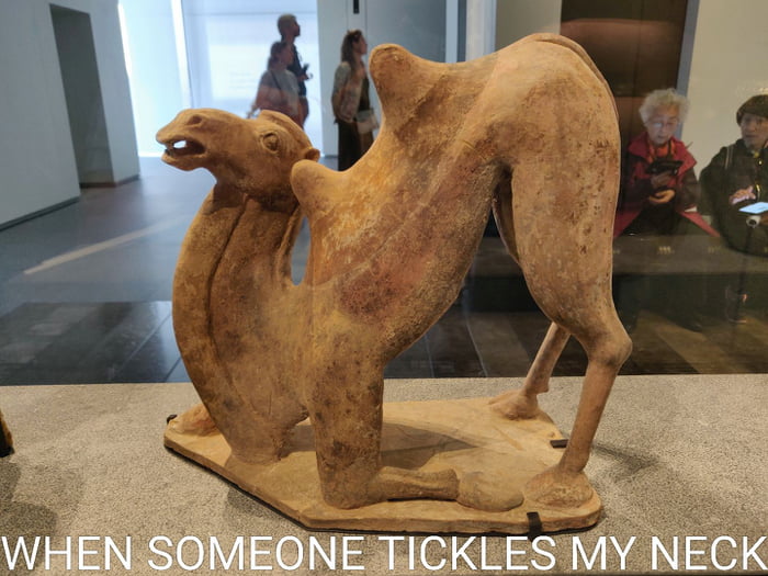 When someone tickles my neck - 9GAG