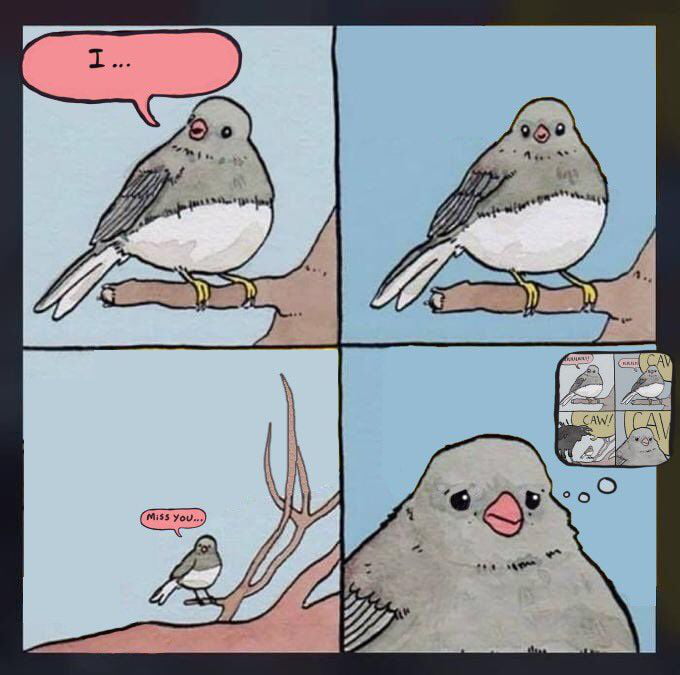 How could the Crow do that just for stand-up comedy? - 9GAG