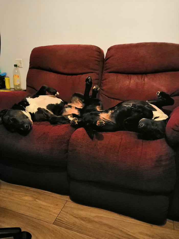 Two tired brothers relaxing!! - 9GAG