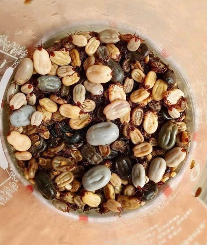 Mixed nuts - 9GAG