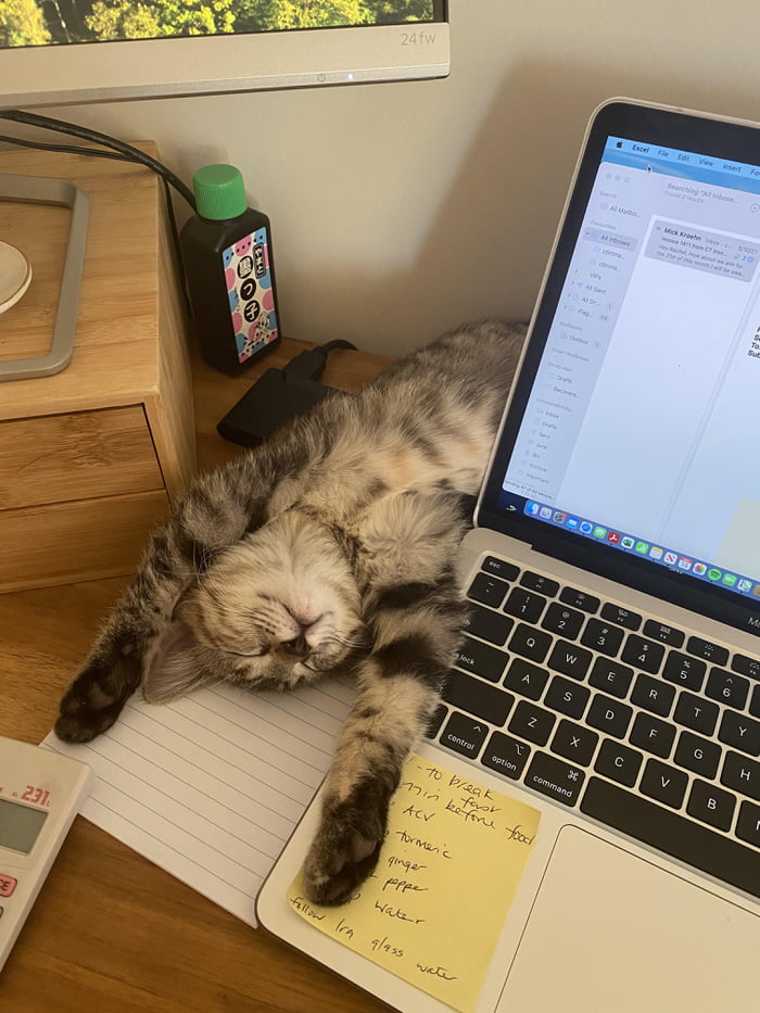 Illegally sleepy - 9GAG