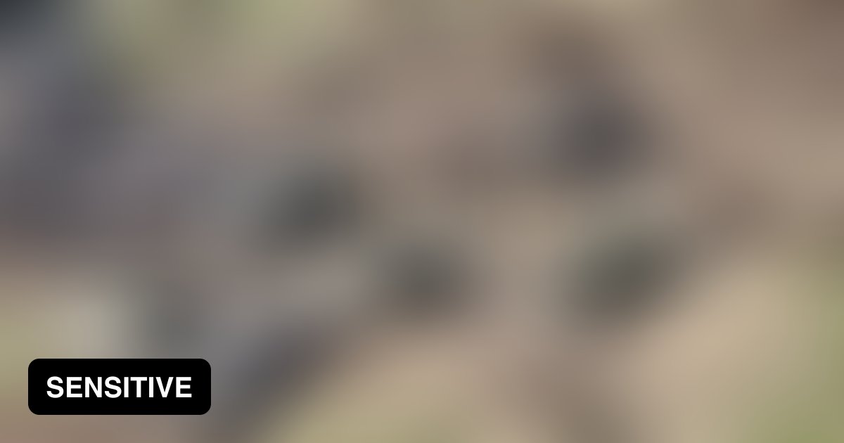 Ukrainian "counterattack" failing successfully - 9GAG