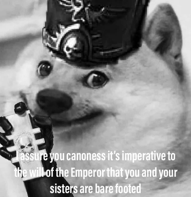 Doge Vandire upon creating the Brides of the Emperor - 9GAG